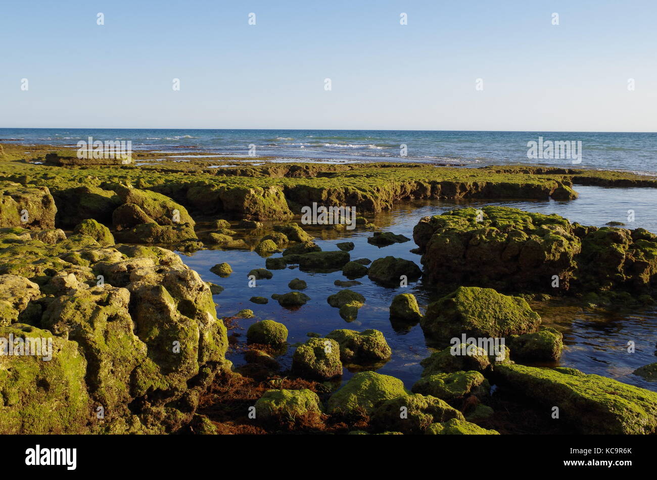 Gale beach in Albufeira. Algarve, Portugal Stock Photo - Alamy