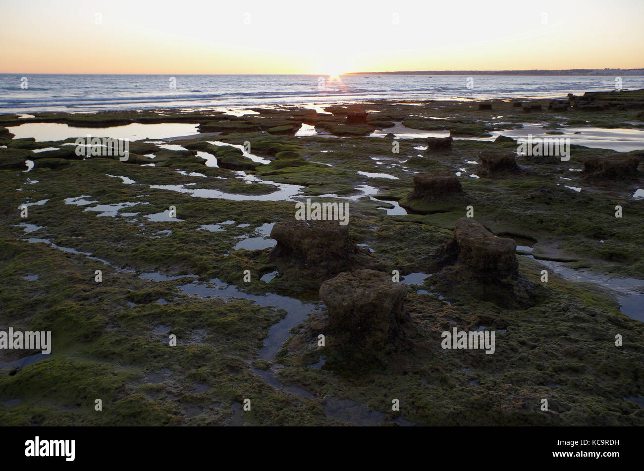 Gale beach in Albufeira. Algarve, Portugal Stock Photo - Alamy