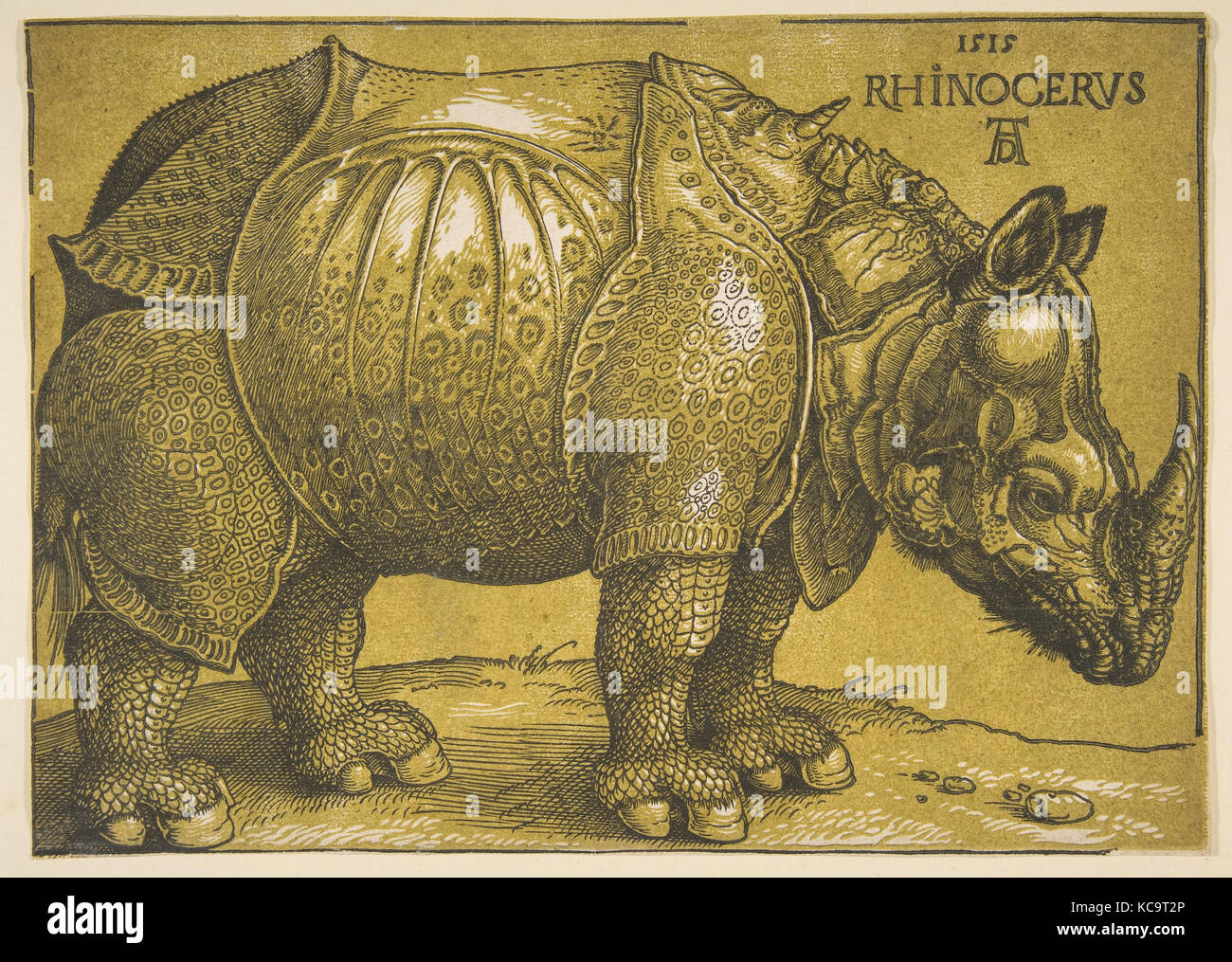 Albrecht durer the rhinoceros hi-res stock photography and images - Alamy