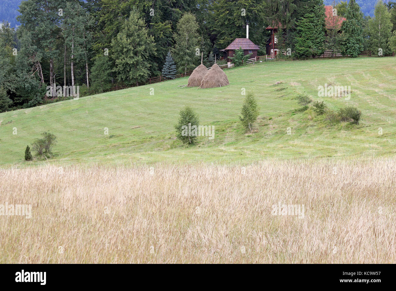 farm on hill rural landscape Stock Photo - Alamy