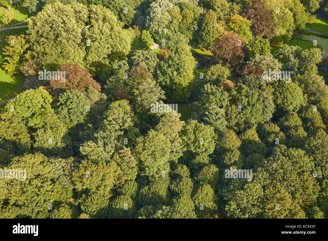 Park from above Stock Photo - Alamy