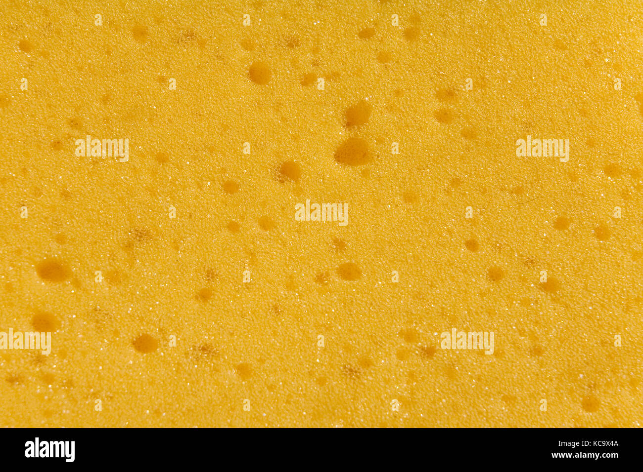 close-up of a yellow sponge Stock Photo - Alamy