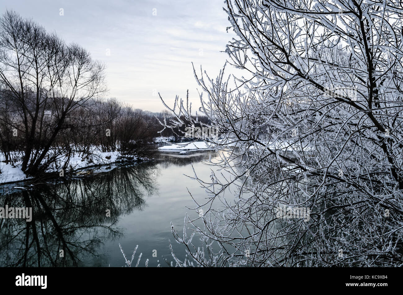 Winter landscape. Icy trees around river Stock Photo - Alamy