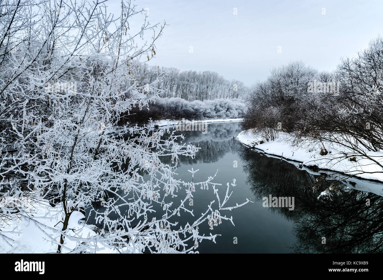 Winter landscape. Icy trees around river Stock Photo - Alamy