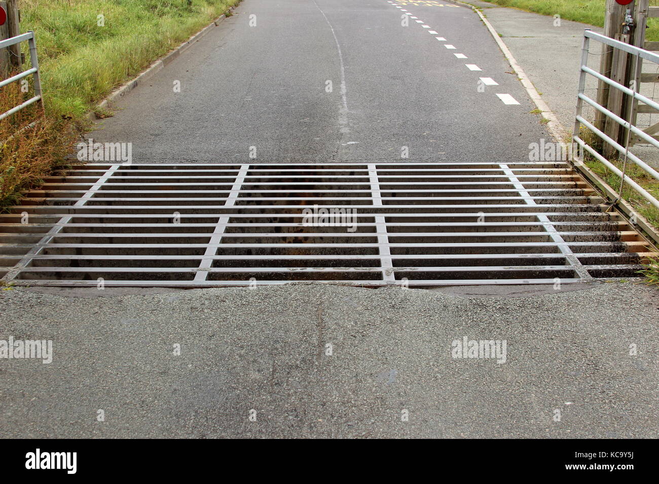 Cattle grid of stones hi-res stock photography and images - Alamy