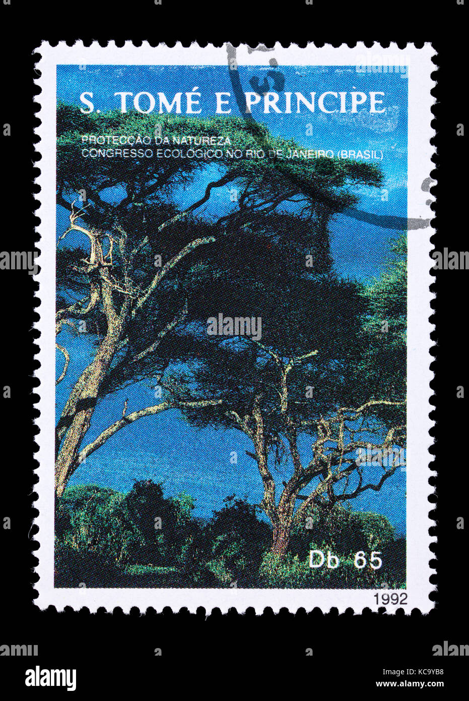 Postage stamp from St.Thomas and Prince Islands depicting a rain forest ...