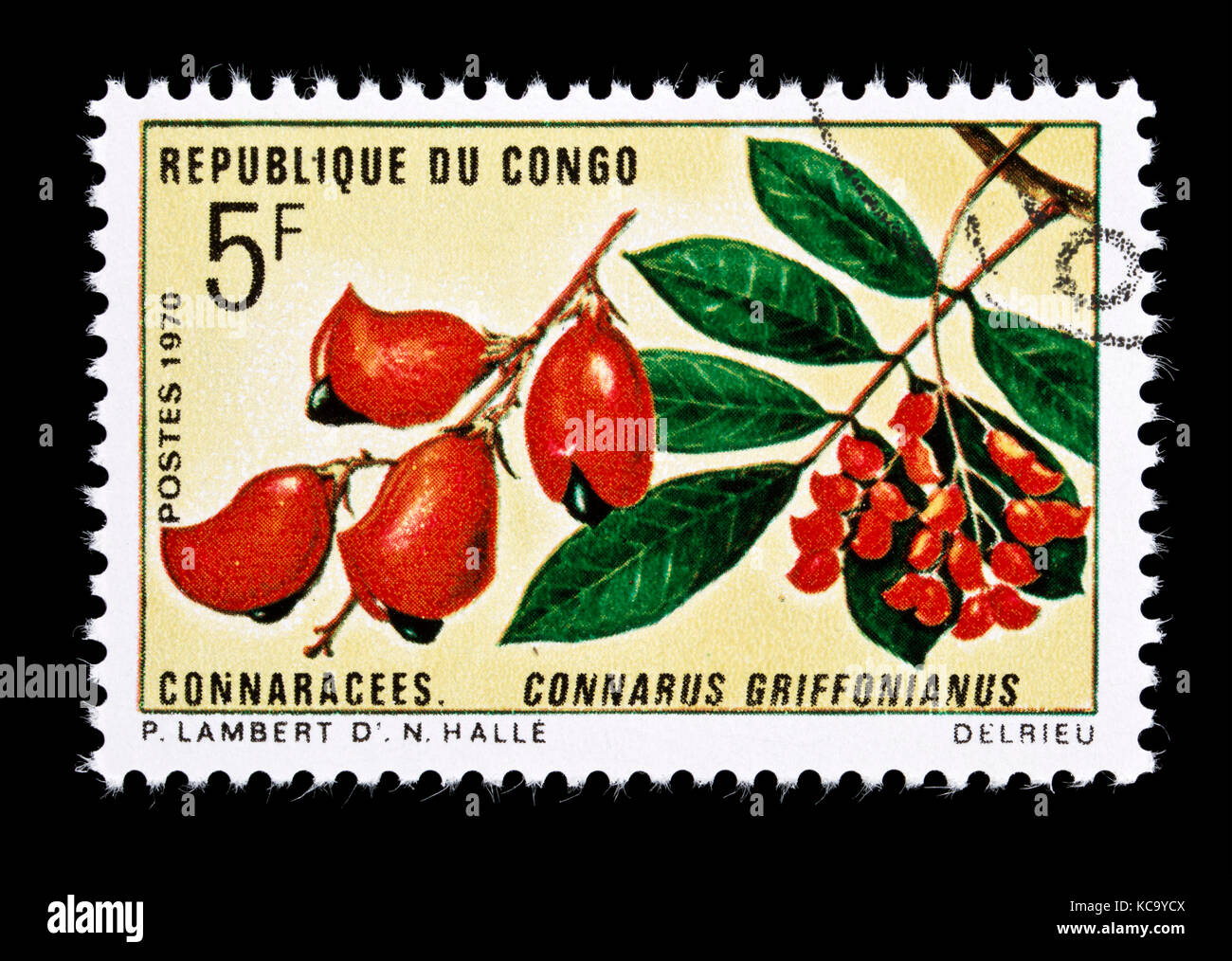 Postage stamp from the People's Republic of Congo depicting Connarus ...