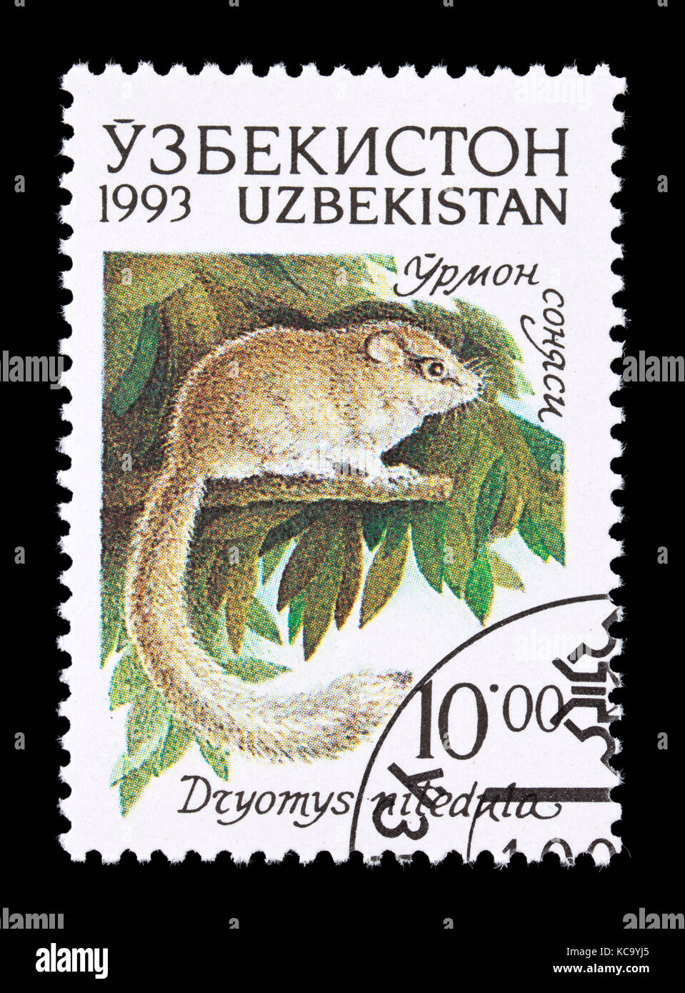 Postage stamp from depicting forest hi-res stock photography and images ...