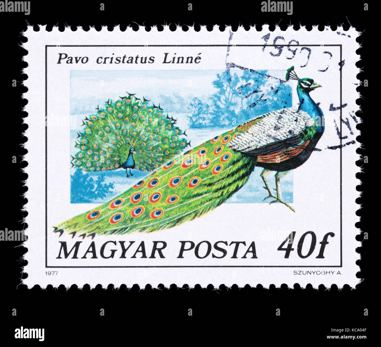 Postage stamp from Hungary depicting a peacock Stock Photo - Alamy