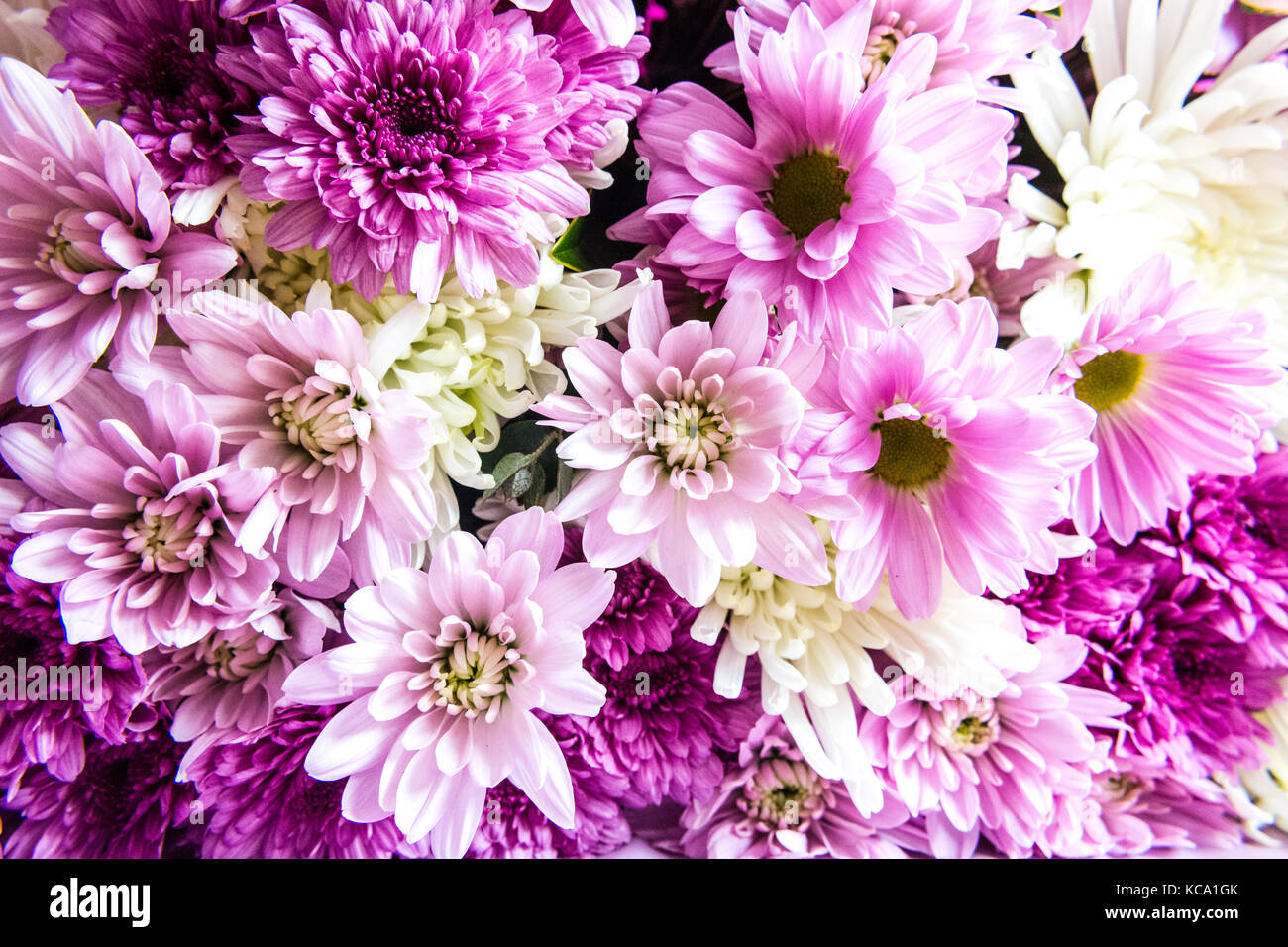 Pastel color flower arrangement Stock Photo - Alamy