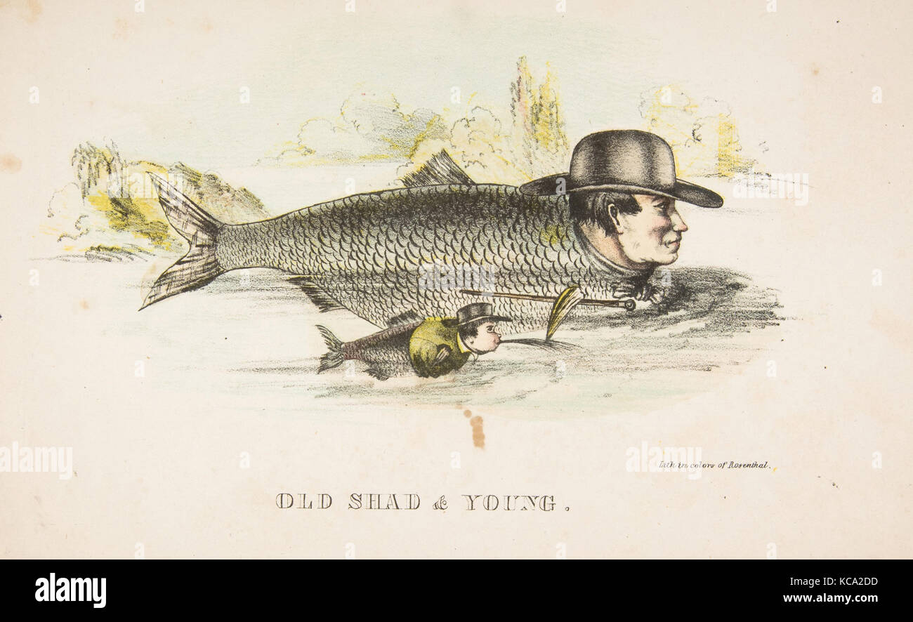 Old Shad & Young, from The Comic Natural History of the Human Race ...