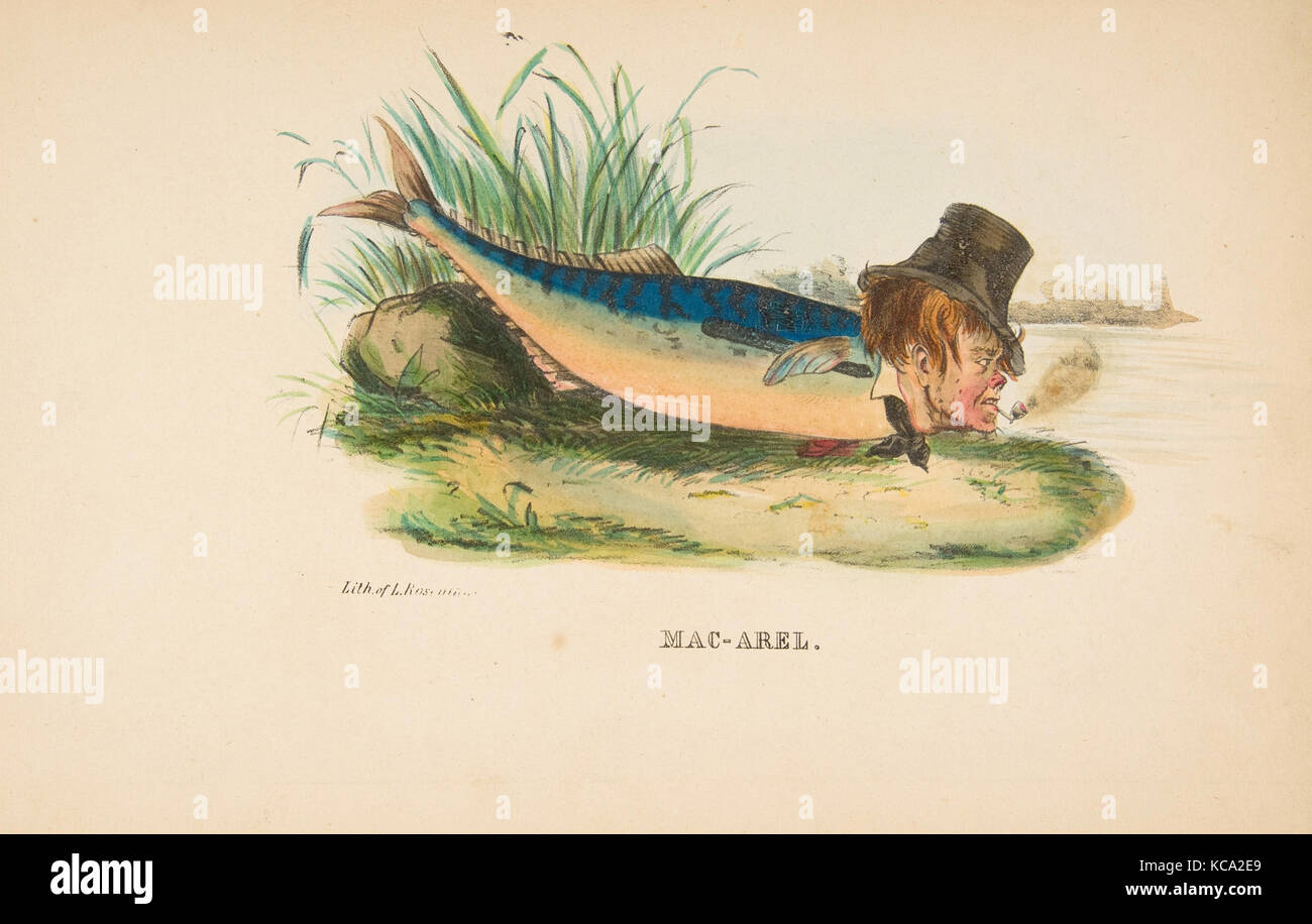 Mac-Arel, from The Comic Natural History of the Human Race, Henry Louis ...