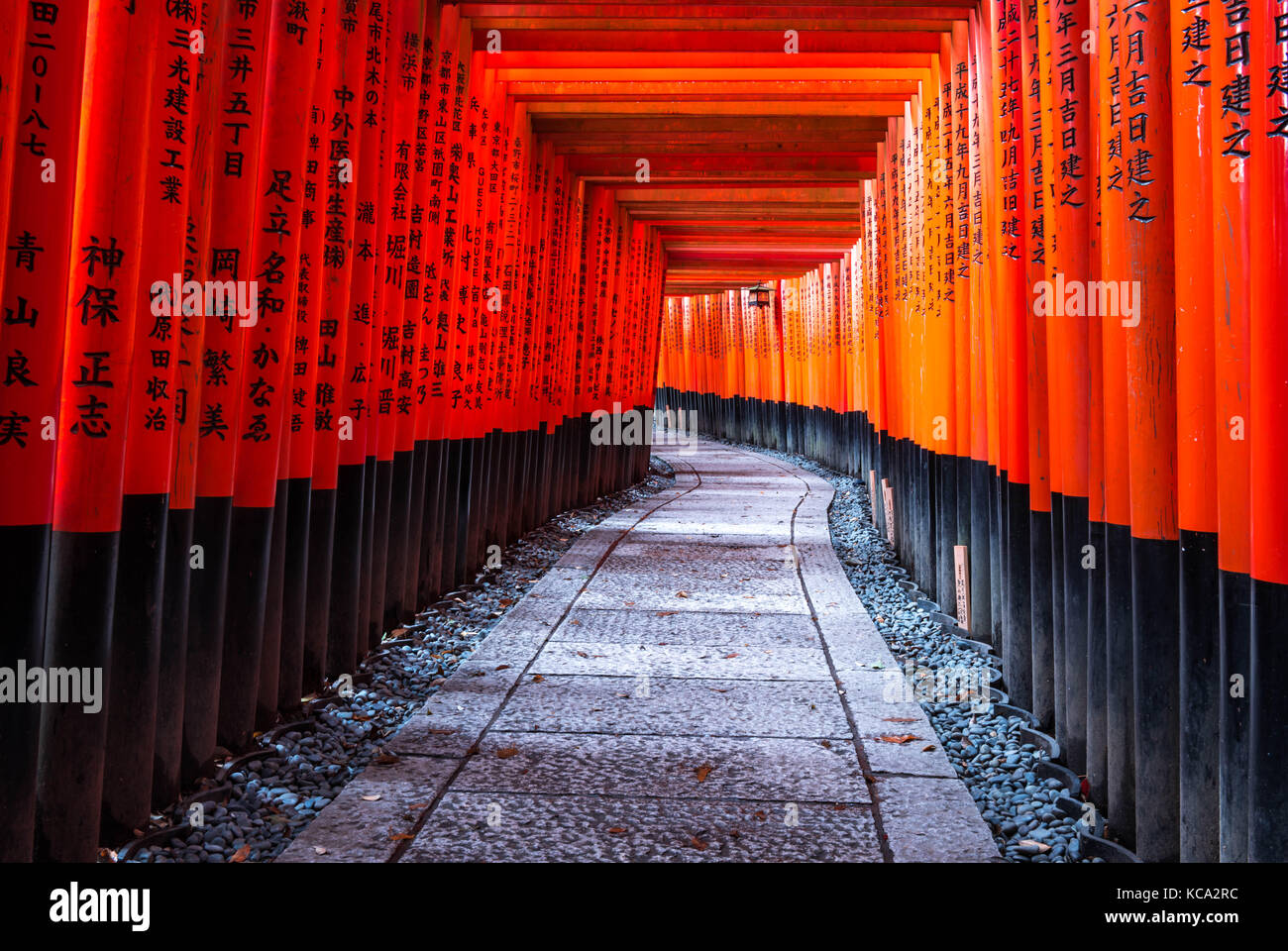 Torrii Gate Pathway at Fushimi Inari in Kyoto, Japan Stock Photo - Alamy