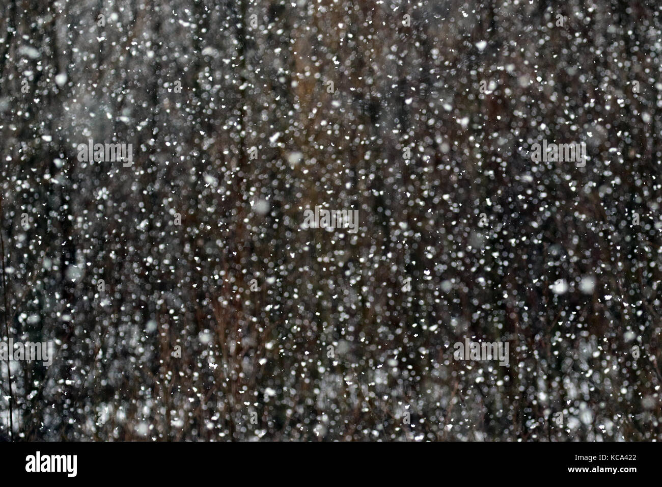 Falling snow hi-res stock photography and images - Alamy