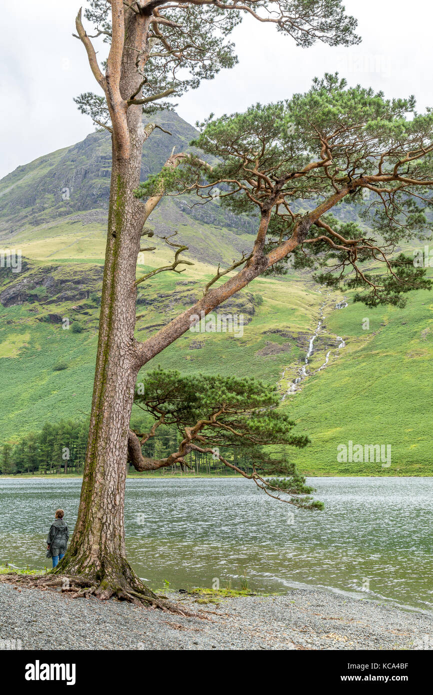 A landscape view of Buttermere, one of the lakes in the Lake District ...
