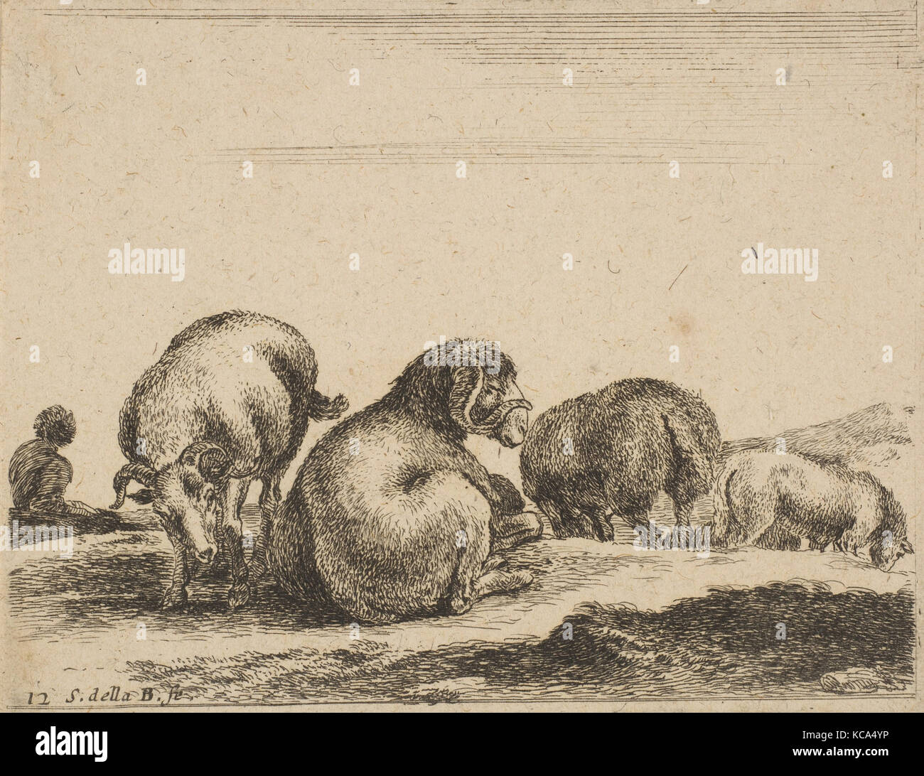 Plate 12: sheep and ram in a pasture, from 'Various animals' (Diversi ...