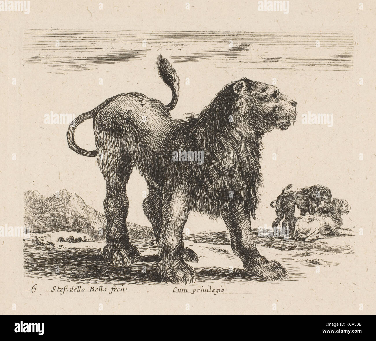 Plate 6: lion, from 'Various animals' (Diversi animali), Stefano della ...