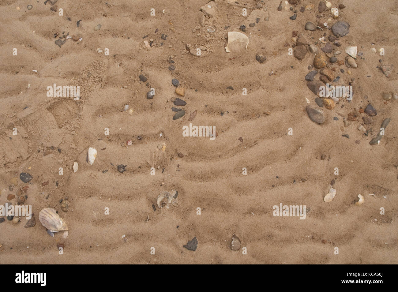 Close up of beach, Wellfleet, MA Stock Photo - Alamy
