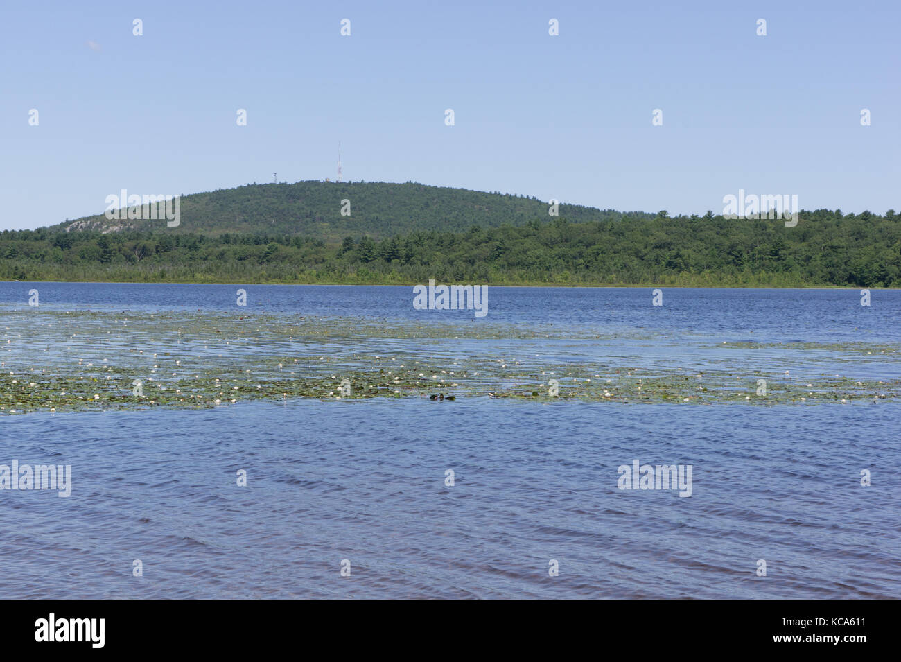 Ponkapoag Pond, Canton MA Stock Photo - Alamy