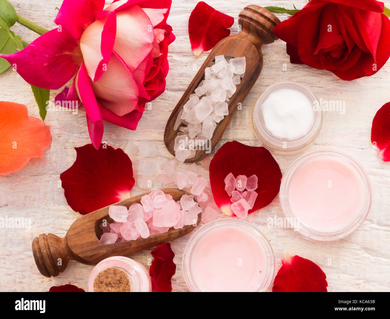 Nourishing rose hi-res stock photography and images - Alamy