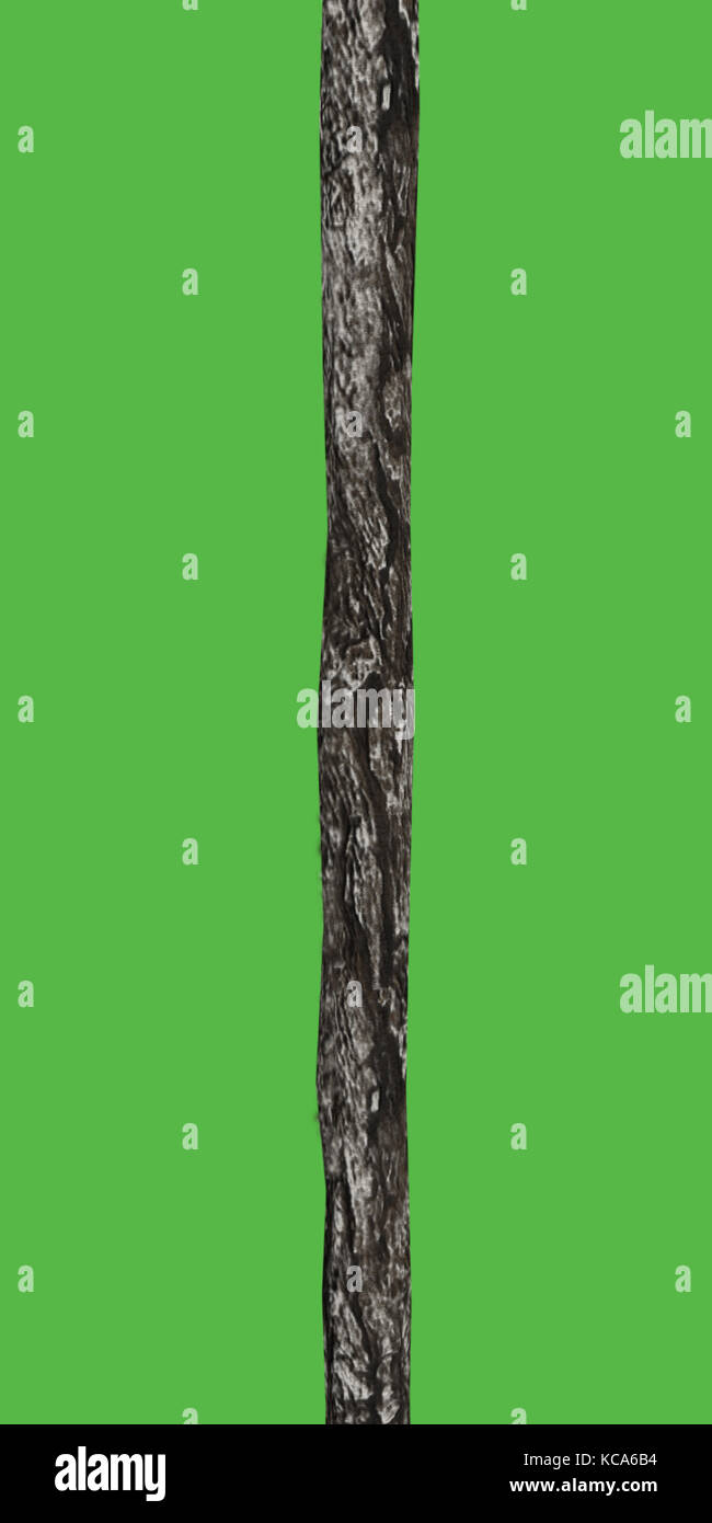 3d illustration of a bark stick isolated on green background for cutout ...