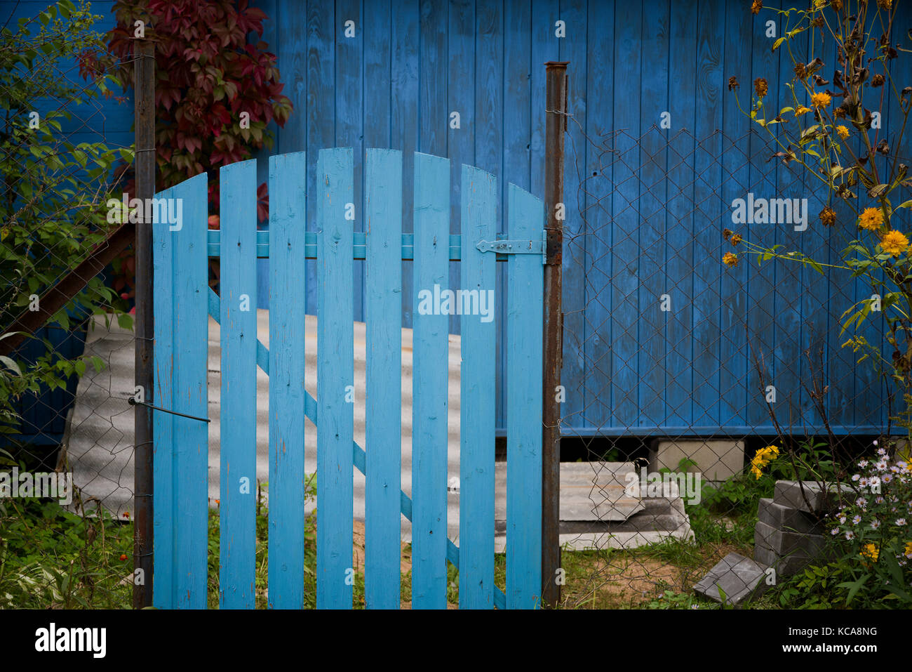 A closed wooden gate in focus and abandoned house or barn in the ...