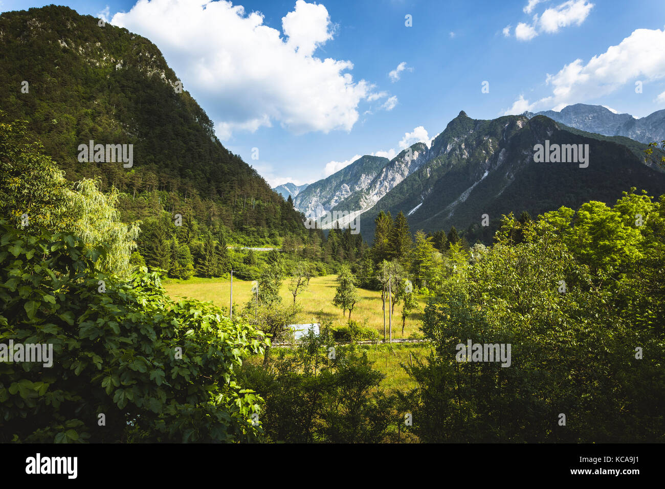 A small peaceful open field with trees with a mountain range in the ...