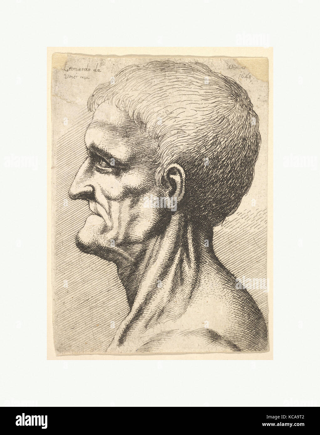 Head of a toothless man with bare, sinewy neck in profile to left ...