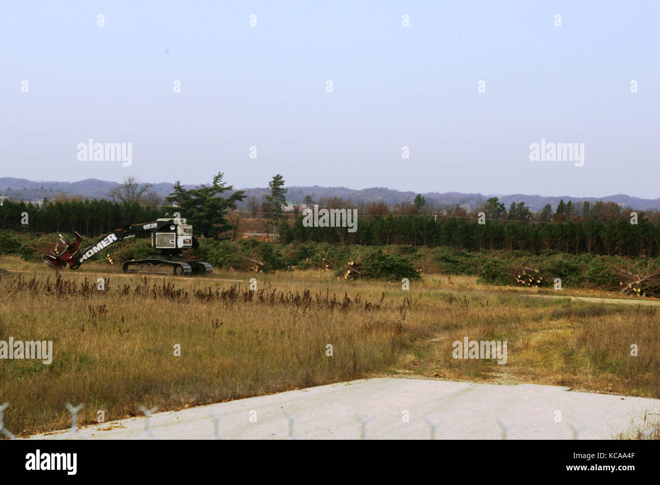 Tree Clearance for construction Stock Photo - Alamy