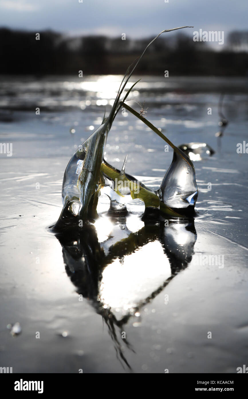 Ice drops close-up Stock Photo - Alamy