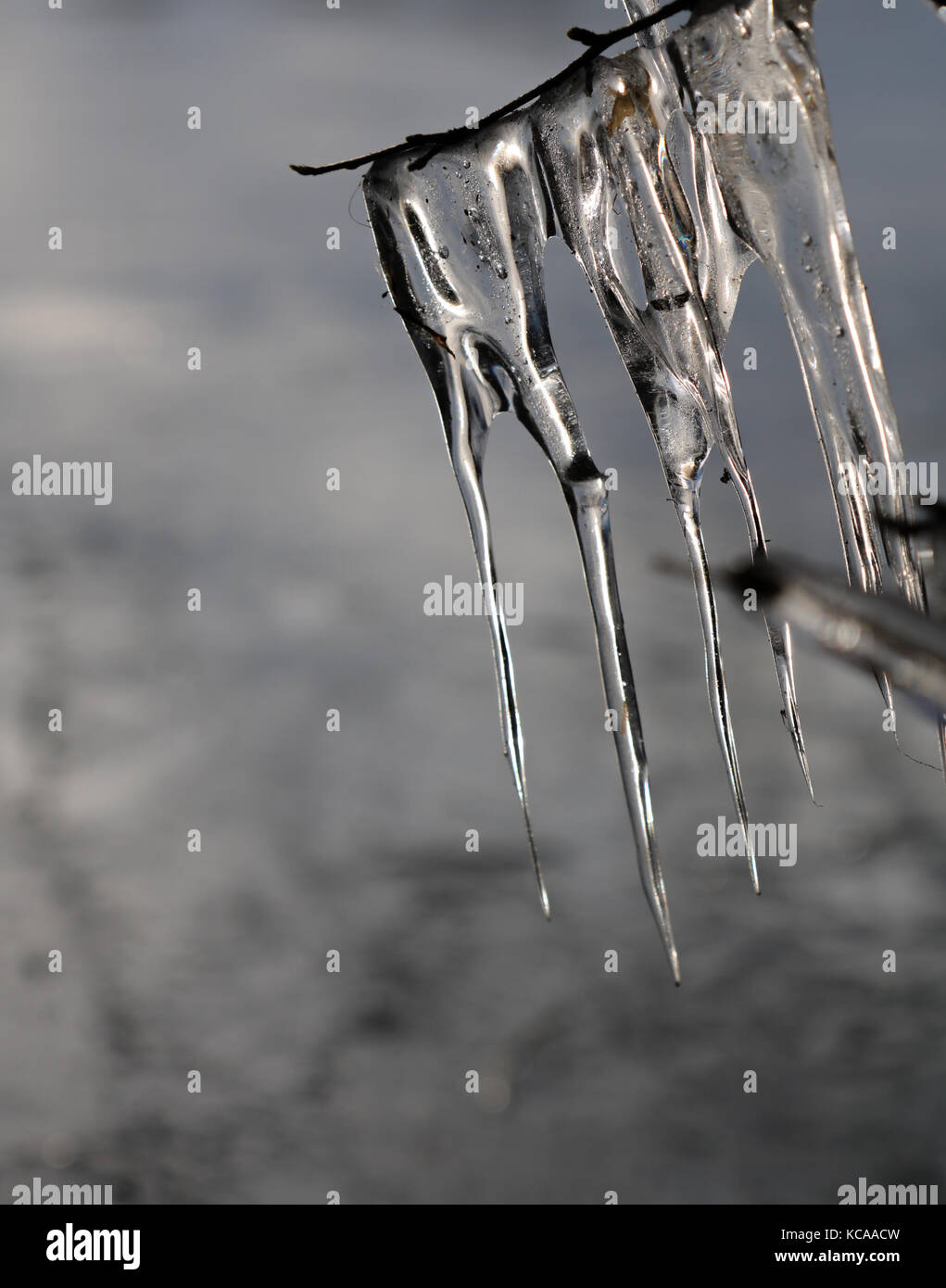 Ice drops close-up Stock Photo - Alamy