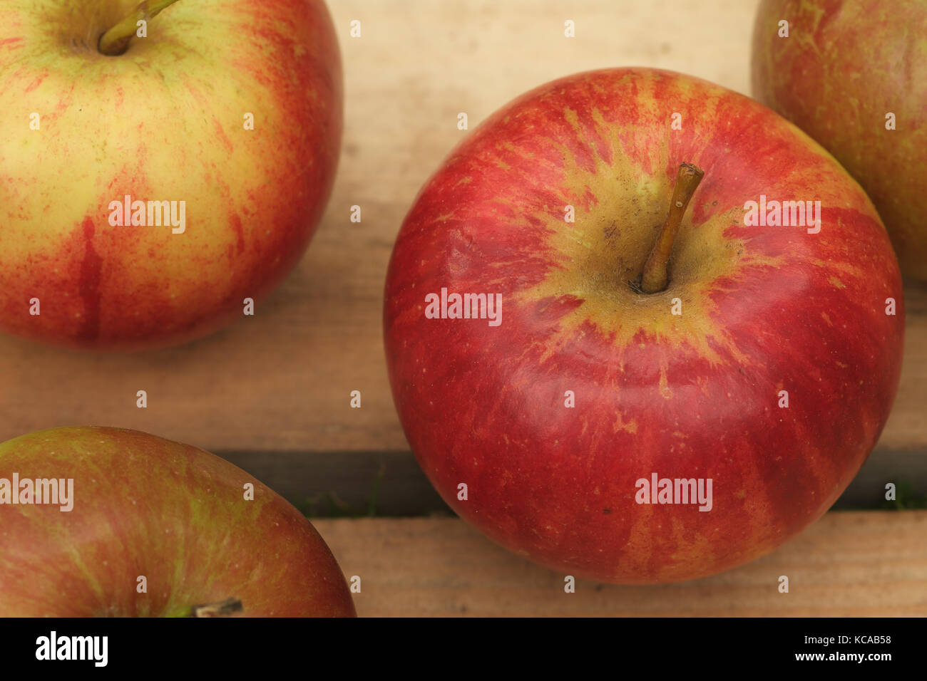 Apples pippin hi-res stock photography and images - Alamy