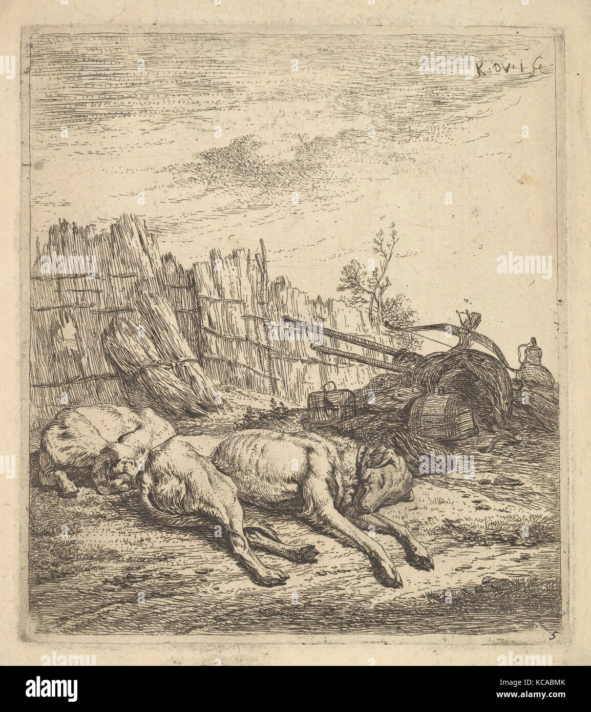 Two dogs sleeping on the ground; a plough, farm equipment, bunches of ...