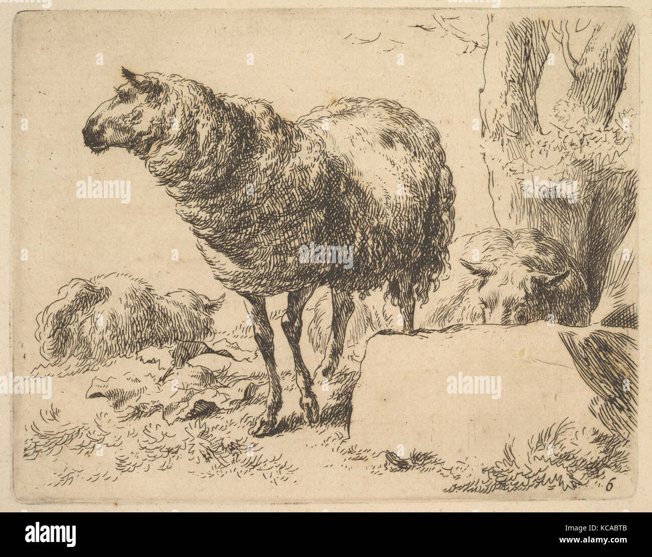 from The Set of Sheep, Etching, plate: 4 x 5 1/8 in. (10.2 x 13 cm ...