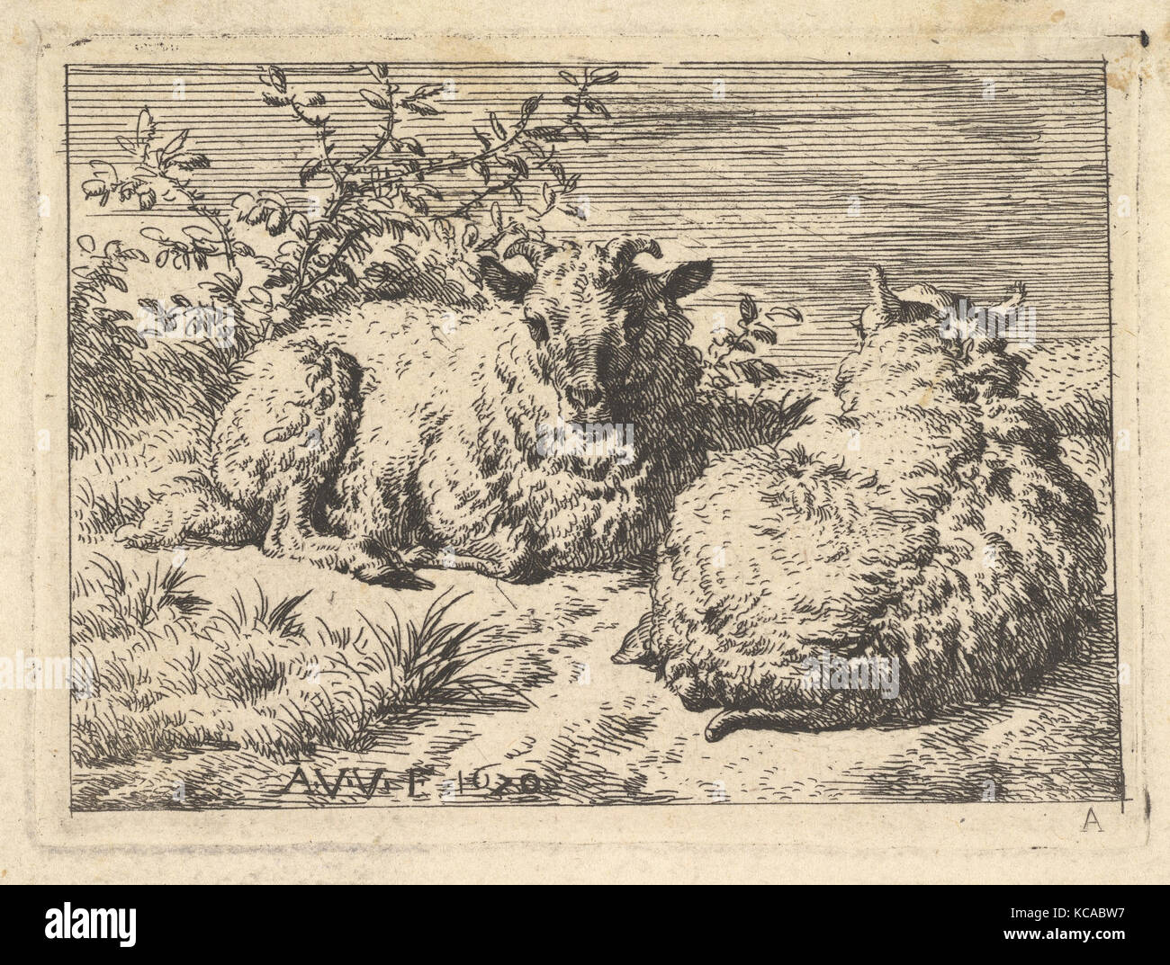 Two Recumbent Sheep, 1670, Etching, plate: 2 15/16 x 3 7/8 in. (7.4 x 9 ...
