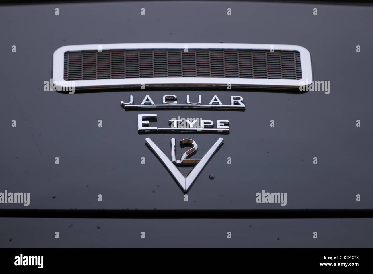 Jaguar logo on vintage car hi-res stock photography and images - Alamy
