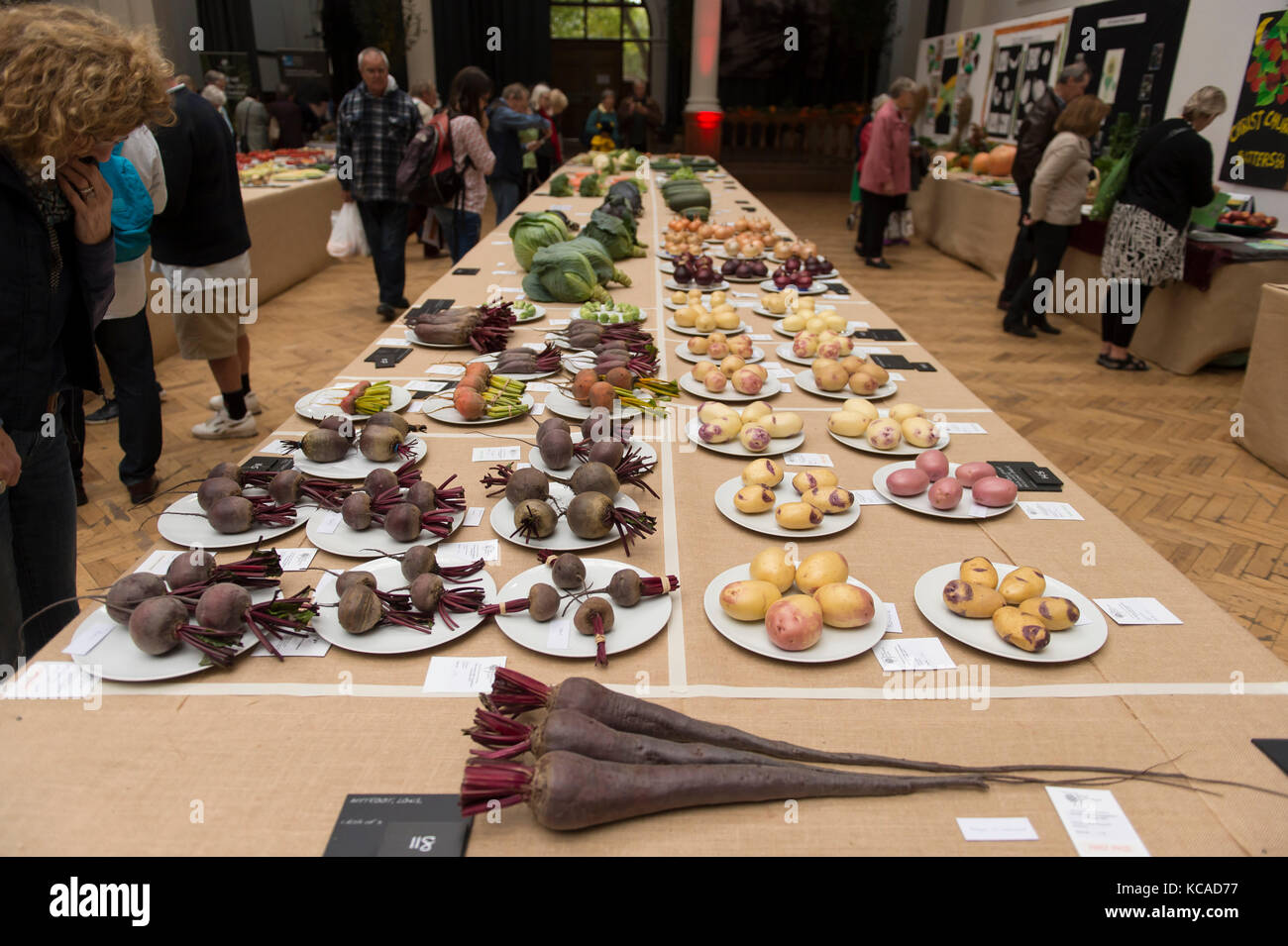 Lindley Hall, London, UK. 3 October 2017. Two-day RHS London Harvest ...