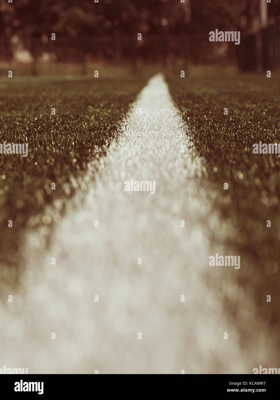 White line marks painted on artificial green turf background. Winter ...