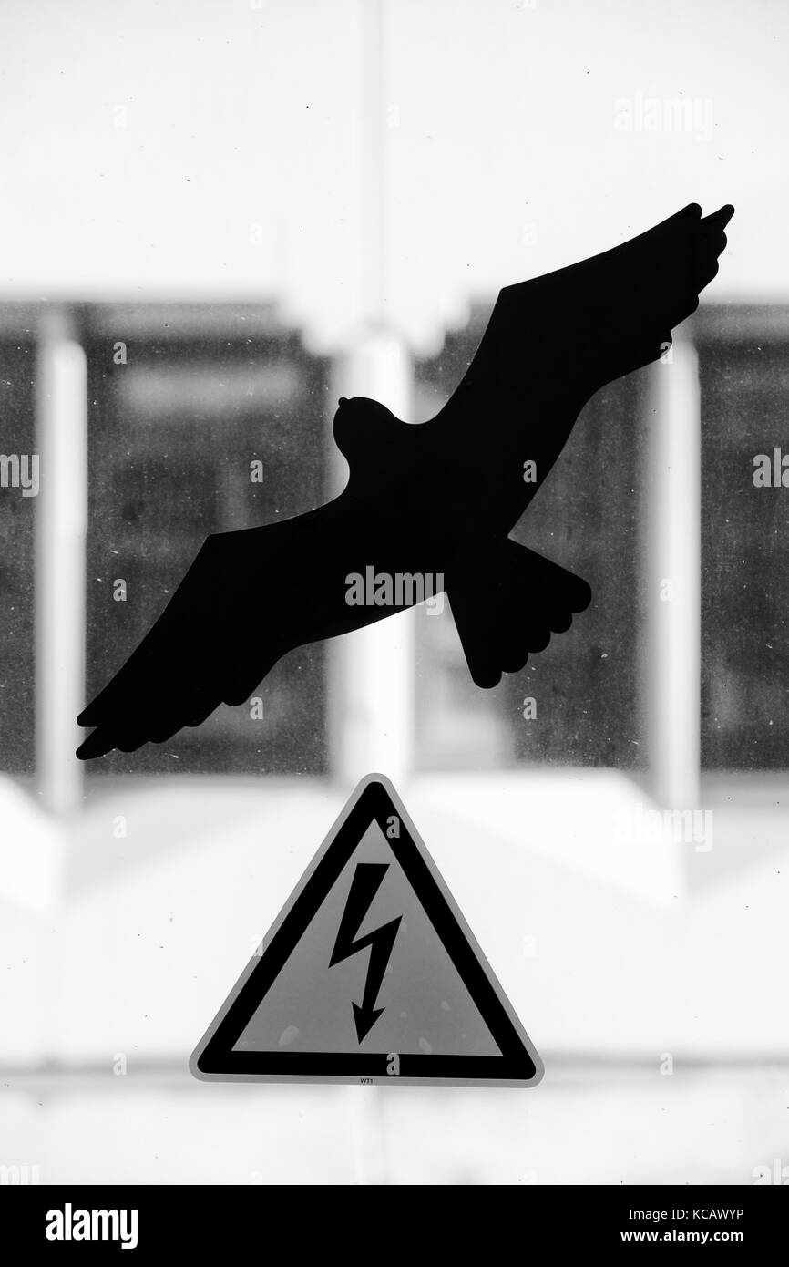 Warning, electrical wire. Protectionfor bird from hitting glass ...