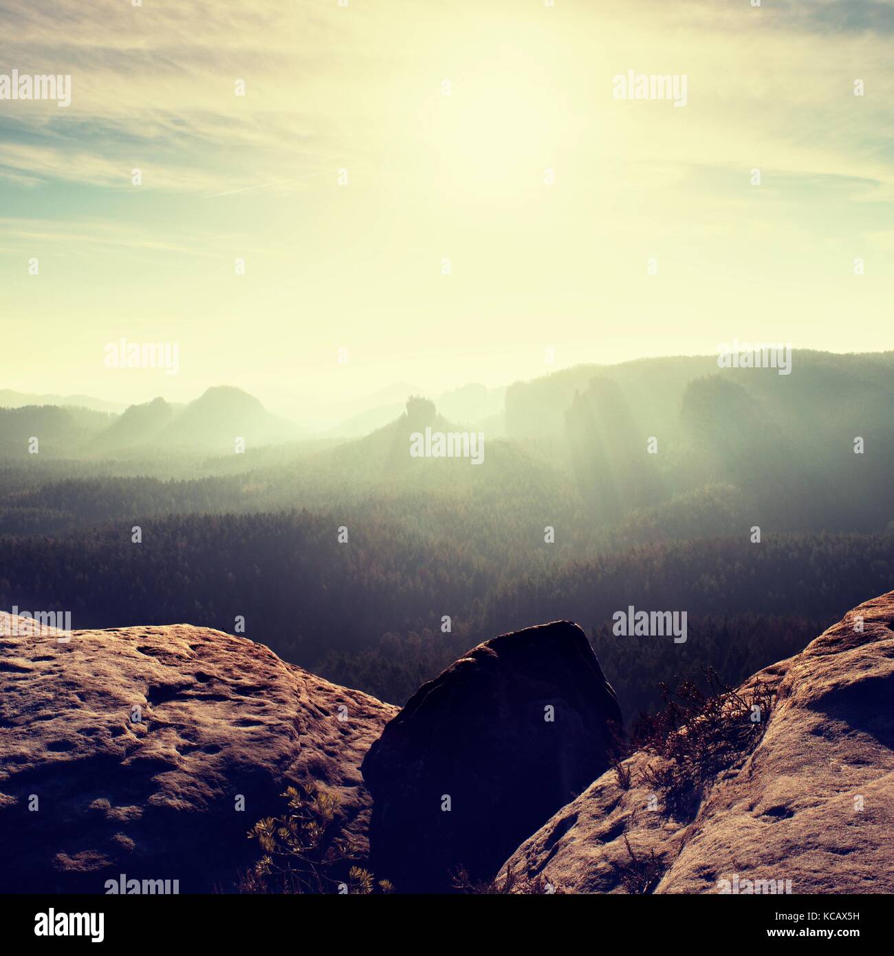 Spring misty morning in forest landscape. Majestic peaks cut lighting ...