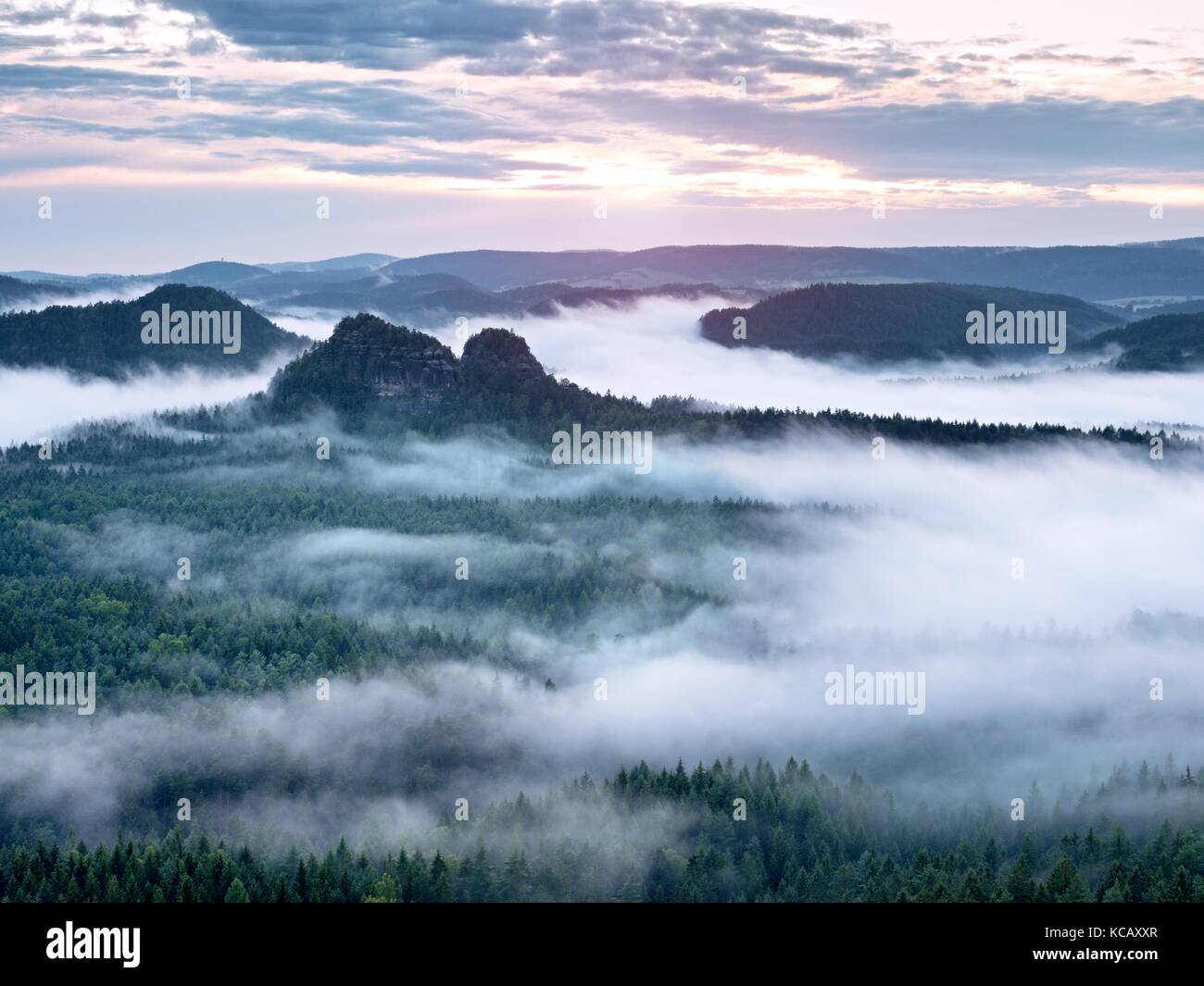 Blue mist in mountains. Summer forest after heavy rainy night. Treetops ...