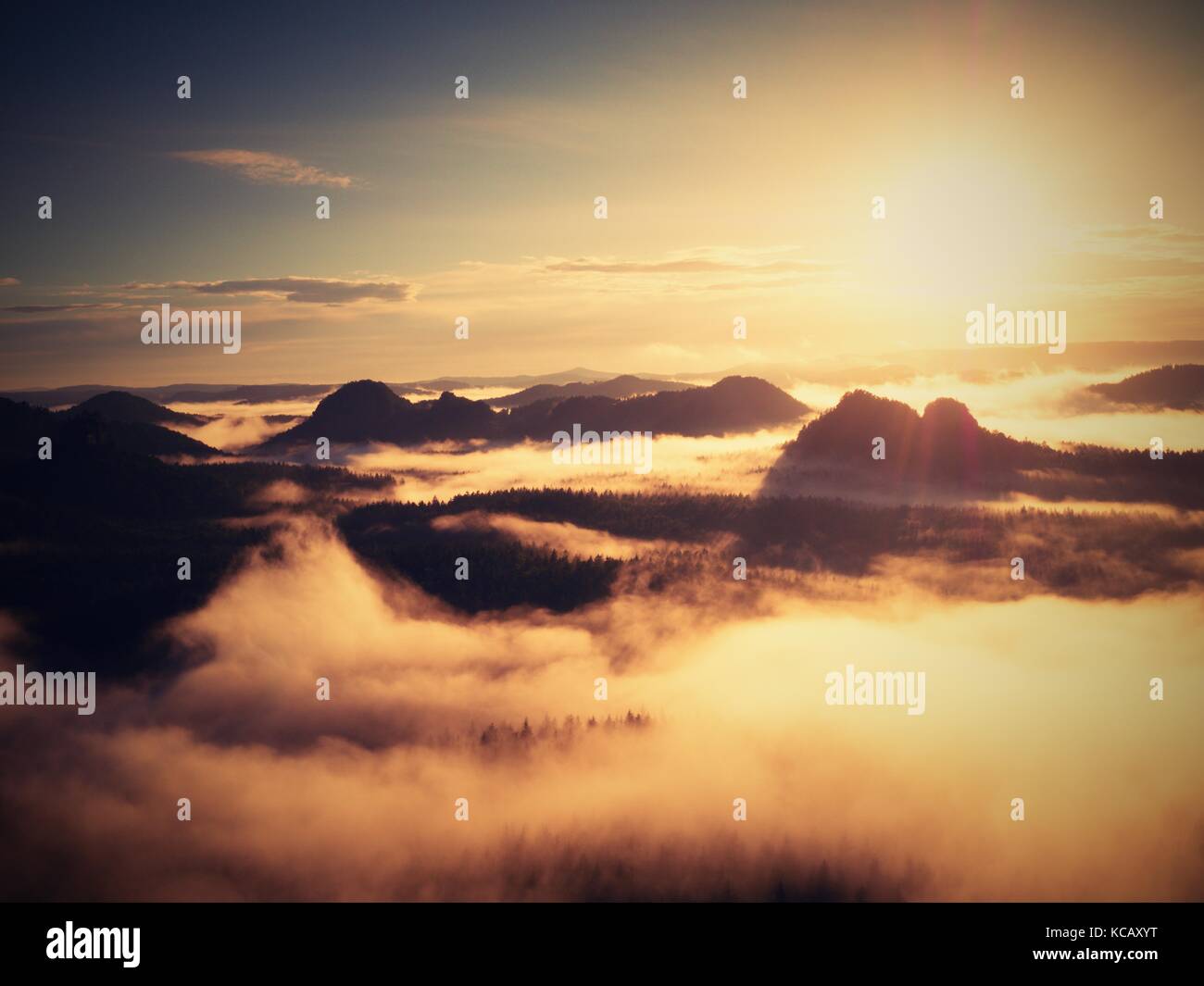 Stripped colorful mist. Summer forest after heavy rainy night. Treetops ...