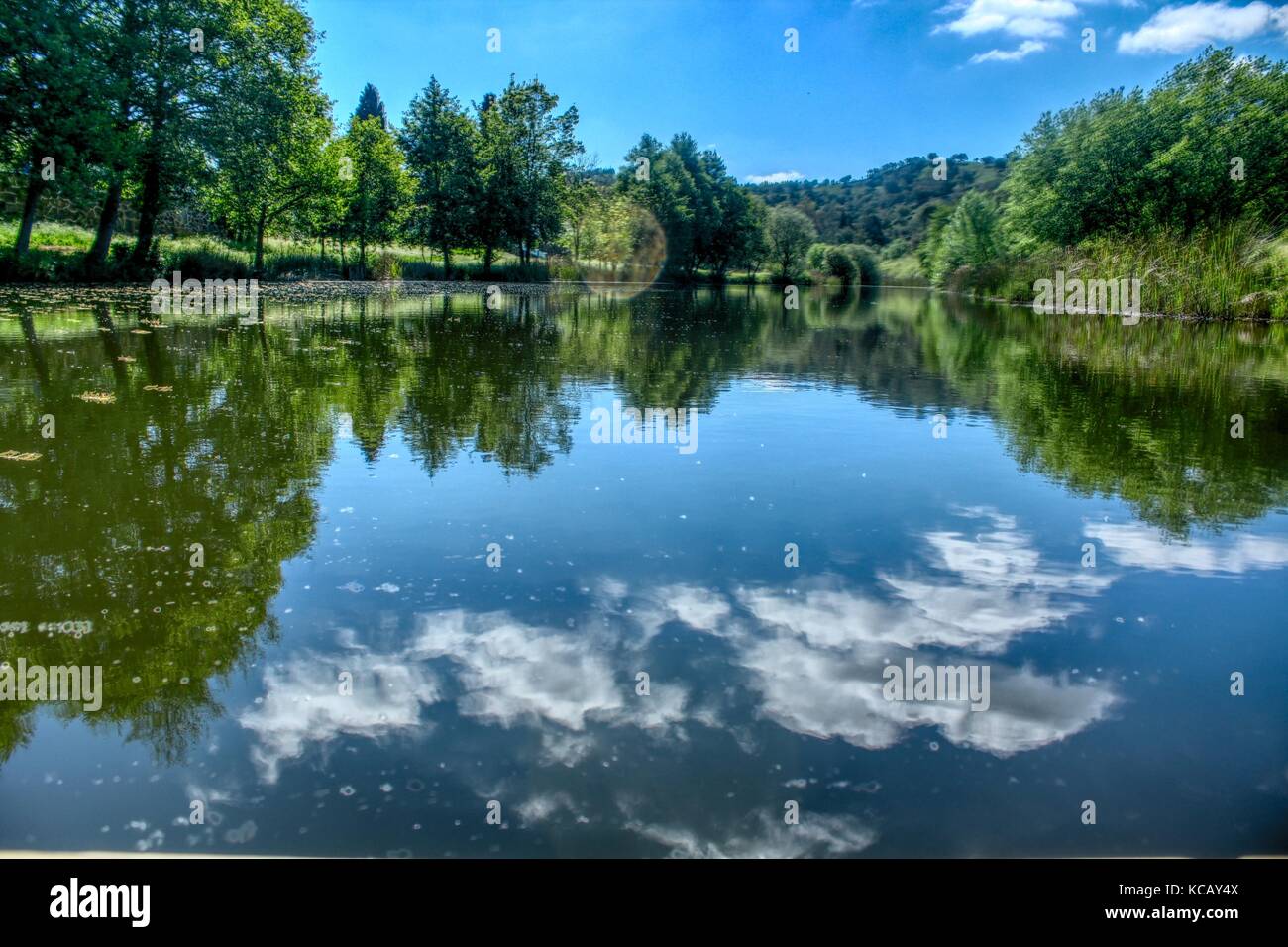 Reflex blue hi-res stock photography and images - Alamy