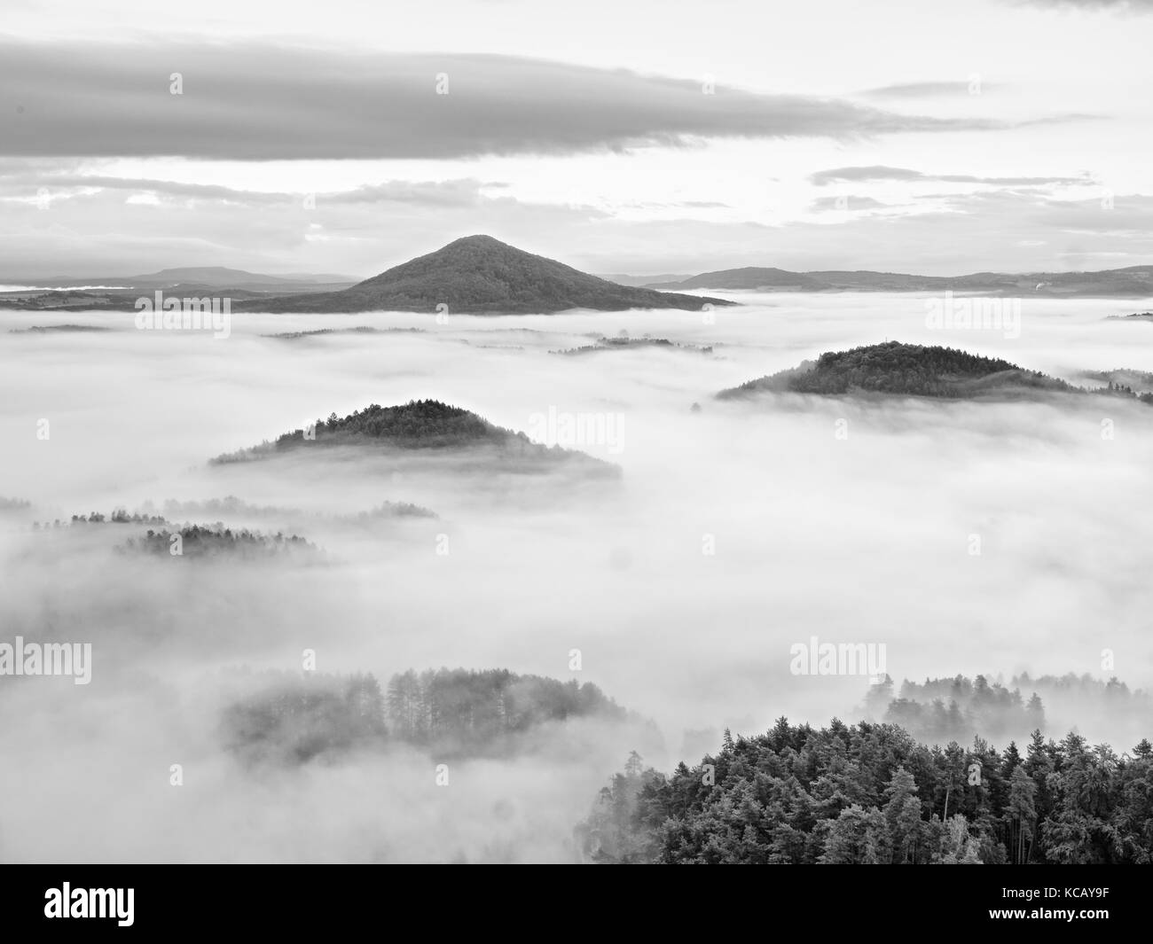 Heavy mist in landscape. Magnificent autumn creamy fog in countryside ...