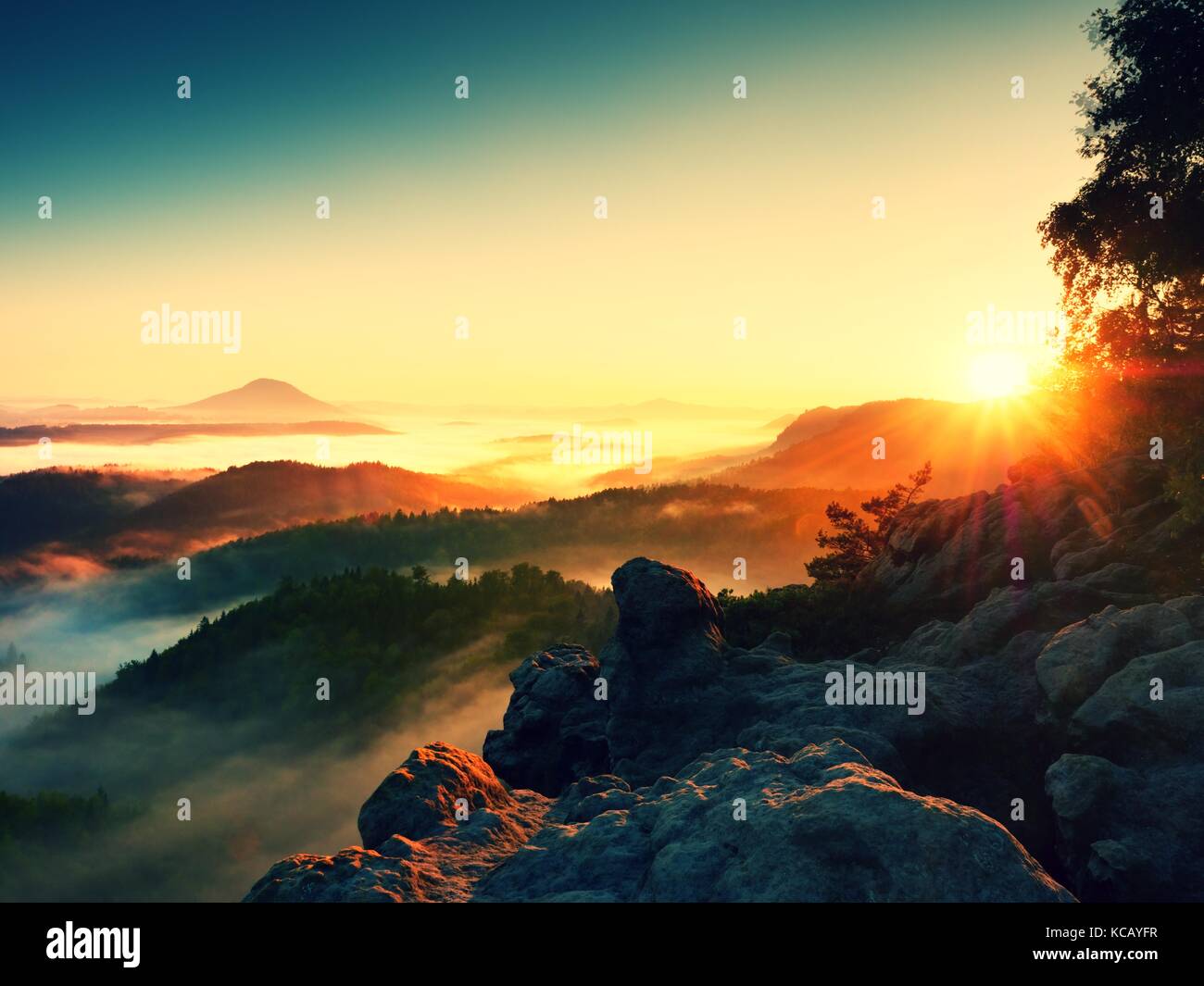 Fall morning mist. The sandstone cliff above treetops of forest valley ...