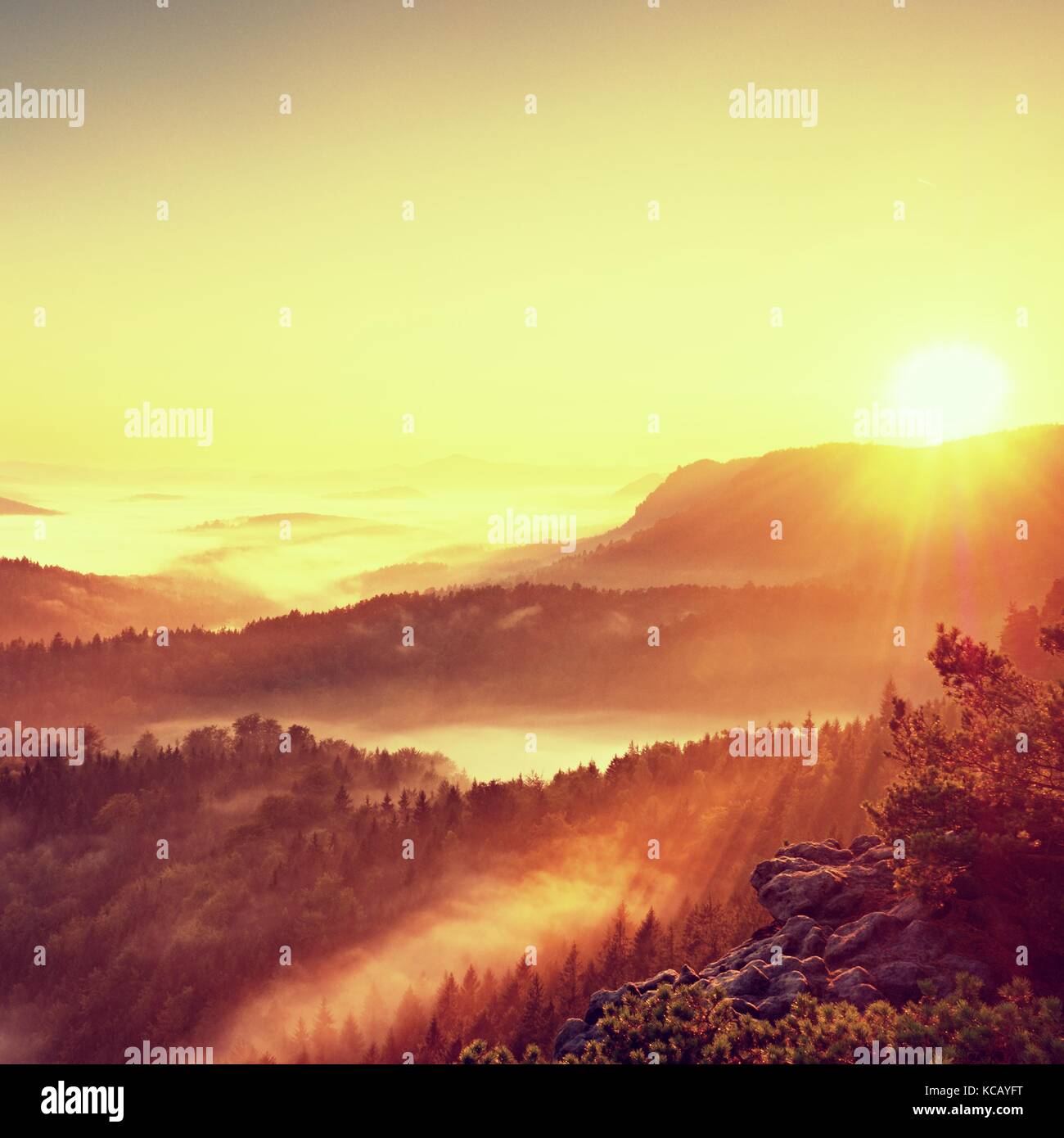 Fall morning mist. The sandstone cliff above treetops of forest valley ...