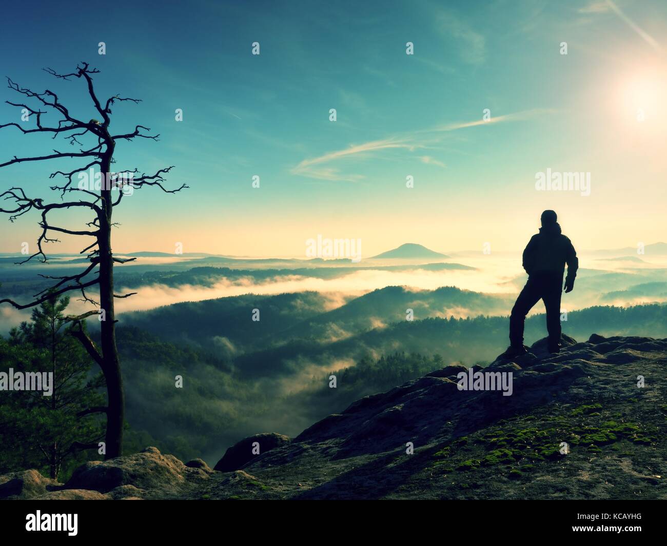 Hiker stand at heather bush on corner of empire bellow pine tree. Man ...