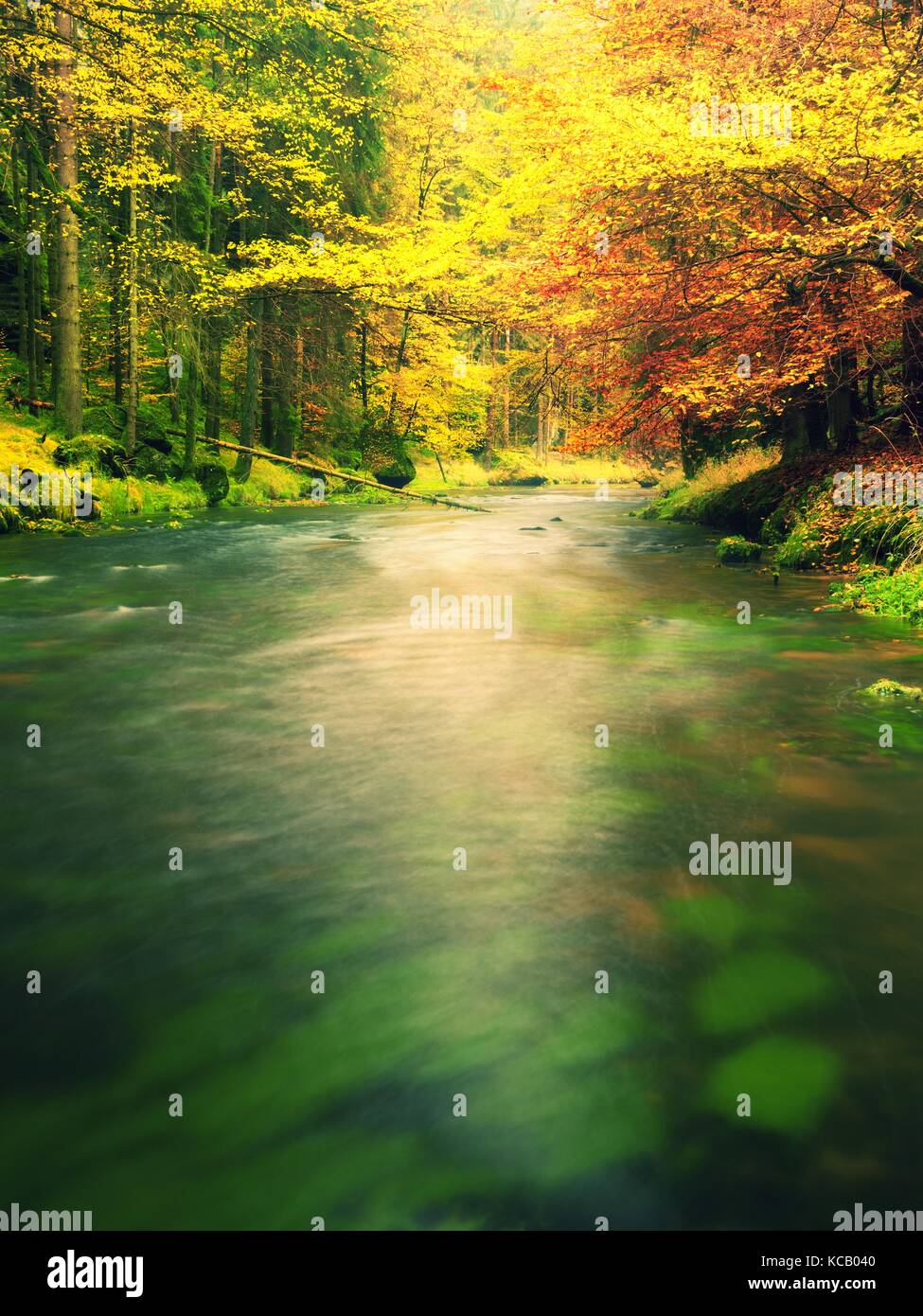 Fall river. Autumn season at mountain river. Green algae in water ...