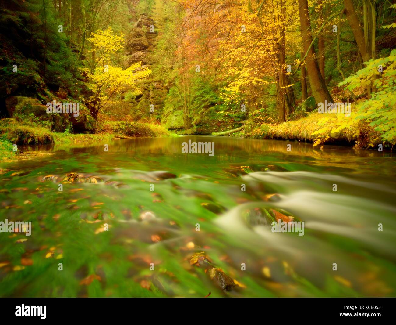 Autumn nature. Mountain river with low level of water, colorful leaves ...