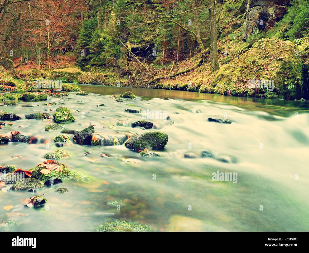 Fall in nature. Colors of autumn mountain river. Colorful gravel with ...